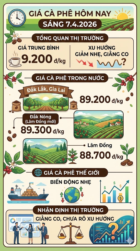 Giá cà phê hôm nay 7/4: Mất đà tăng, thị trường điều chỉnh nhẹ