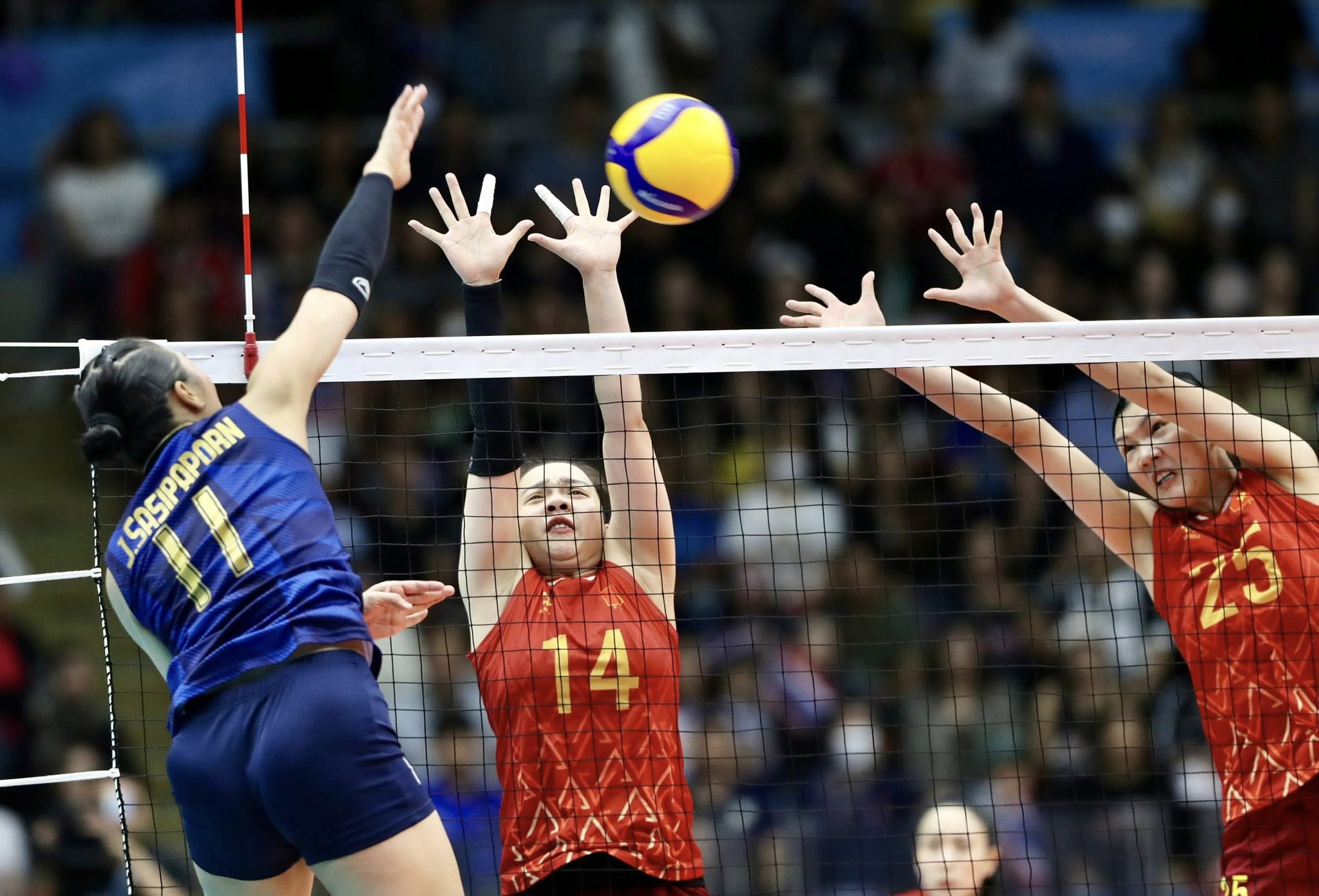 ¿En qué torneos internacionales competirá el equipo de voleibol ...