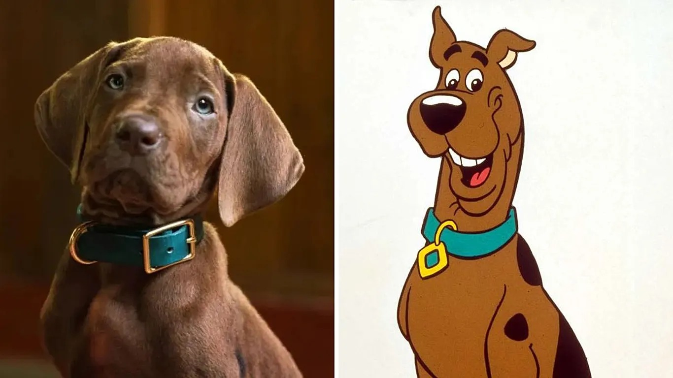 A Scooby-Doo élőszereplős változata vitát váltott ki.