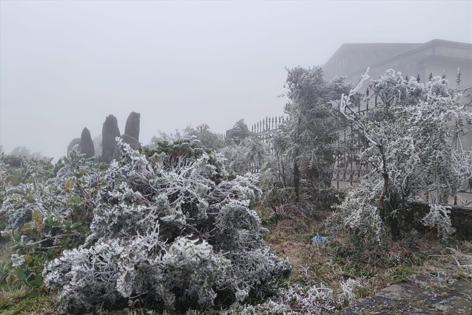 A guide to ice hunting at Mau Son peak - A safe and enjoyable trip.