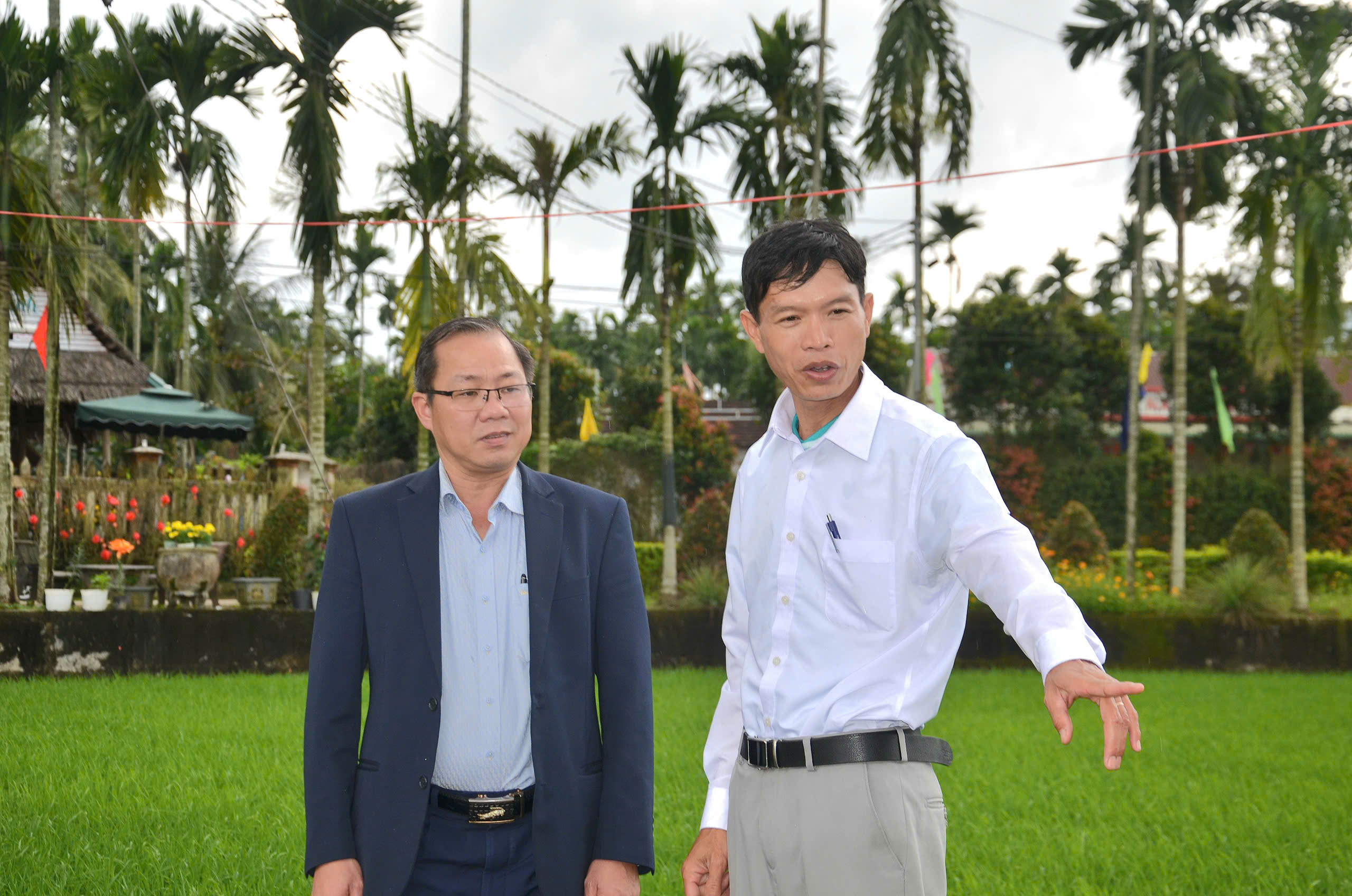 Cánh đồng lúa và hoa ở làng du lịch cộng đồng Bình Thành
