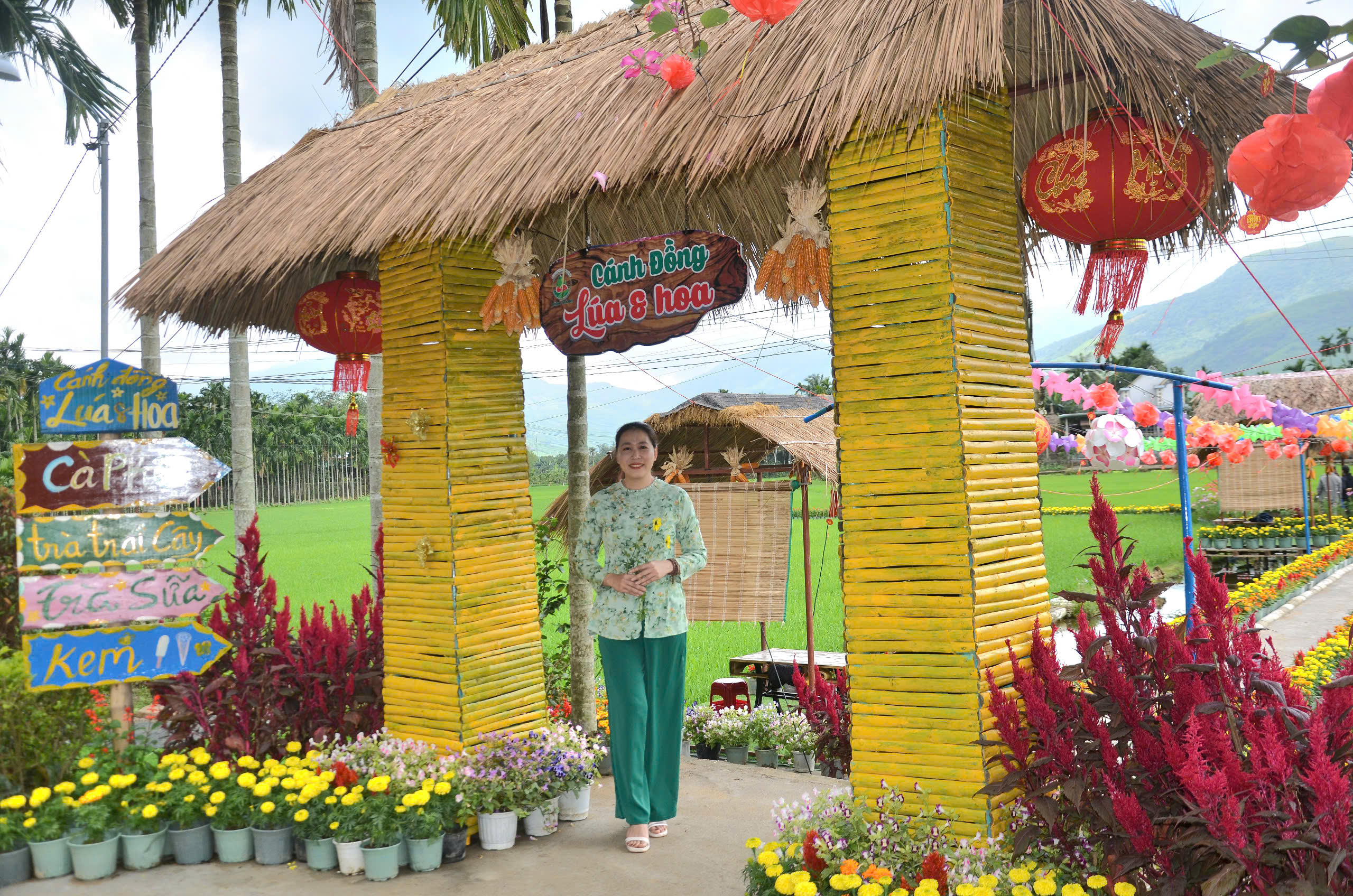 Cánh đồng lúa và hoa ở làng du lịch cộng đồng Bình Thành