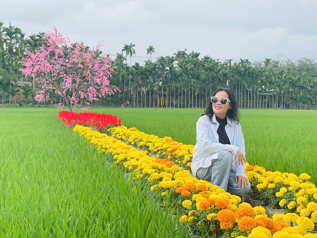 Cánh đồng lúa và hoa ở làng du lịch cộng đồng Bình Thành