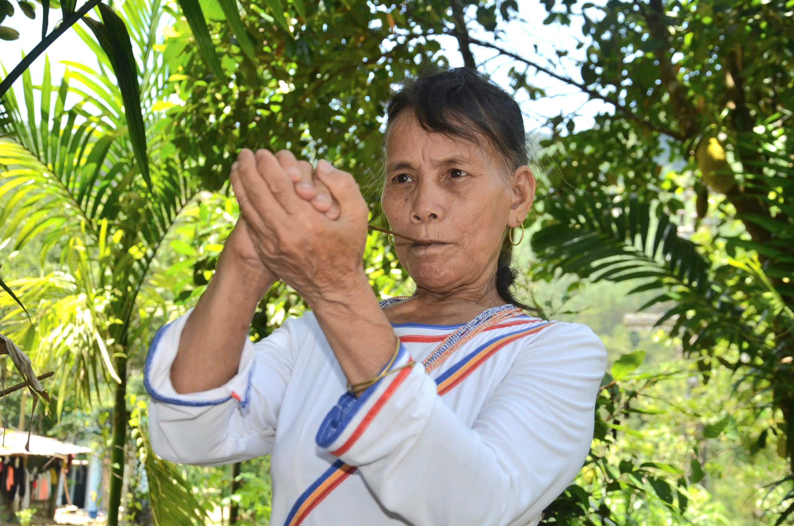 Gìn giữ tiếng kèn A máp của người Co