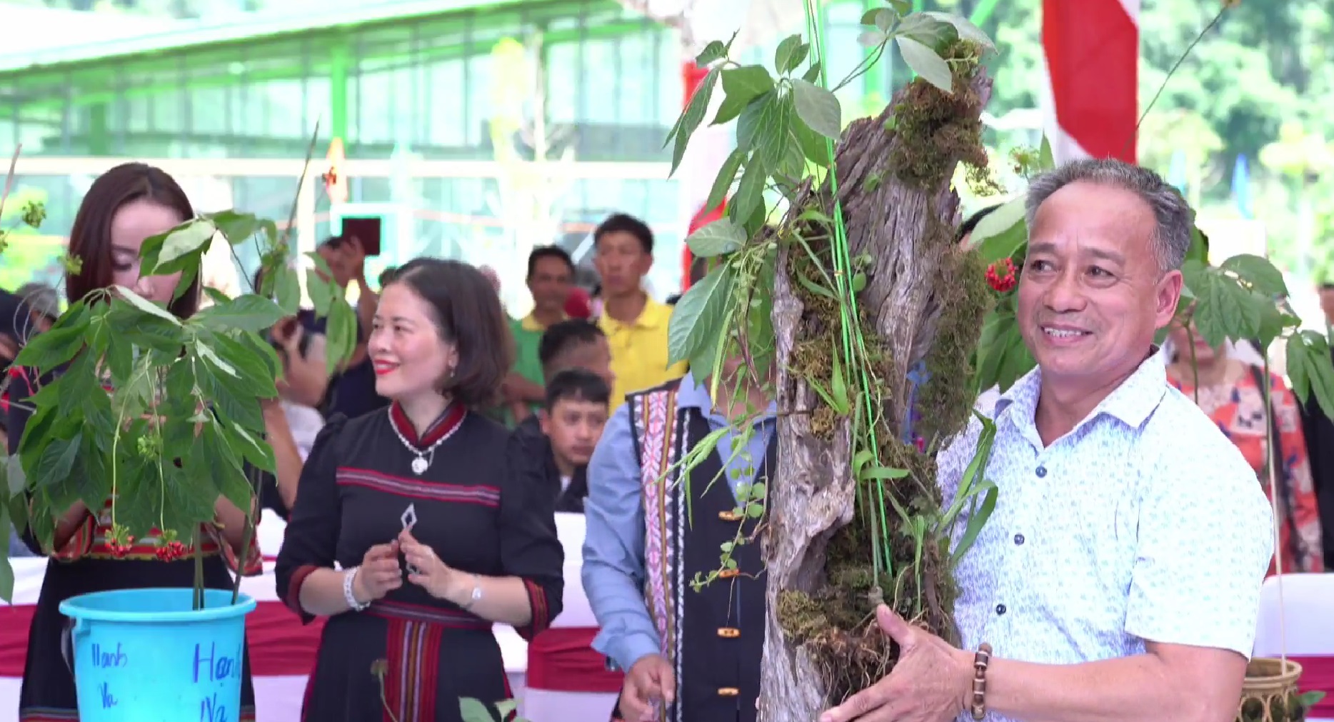 Tri thức dân gian về sâm Ngọc Linh là Di sản văn hóa phi vật thể quốc ...