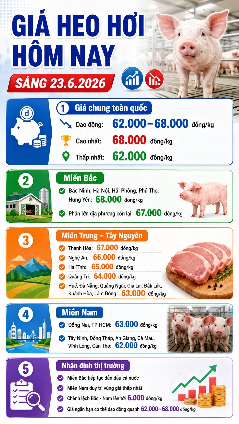 Giá heo hơi hôm nay 23/6: Miền Bắc giữ đỉnh 68.000 đồng/kg